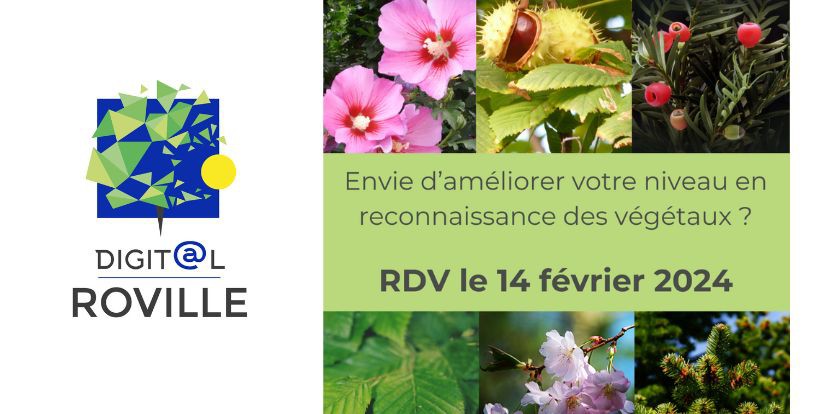 Nouveau : Découvrez Digit@l Roville, des formations 100% en ligne